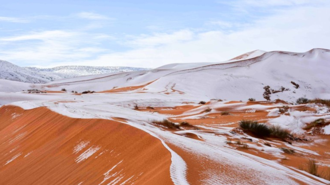 HTML5 Classic Game Development: 사막에 관한 재미있는 사실들