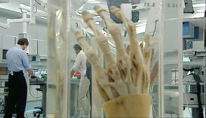 HTML5 Classic Game Development: 인간 vs 가치