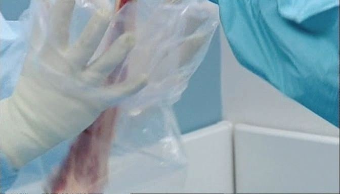 HTML5 Classic Game Development: 인간 vs 가치